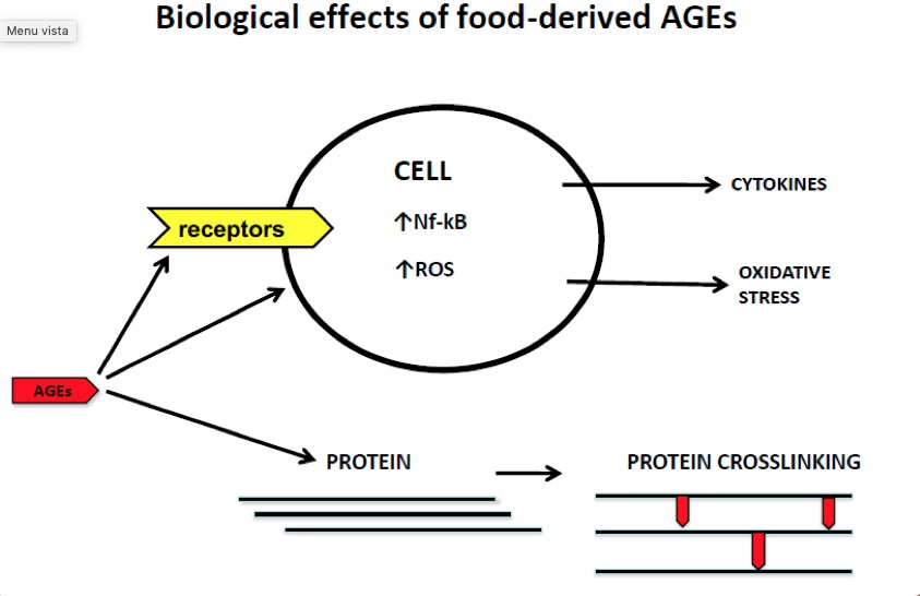 AGE's cellula - Daniele Orlandoni